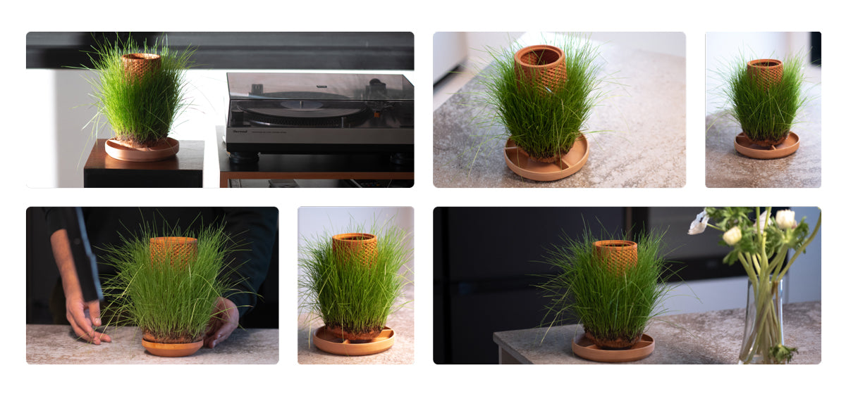 Research and design – tevaplanter