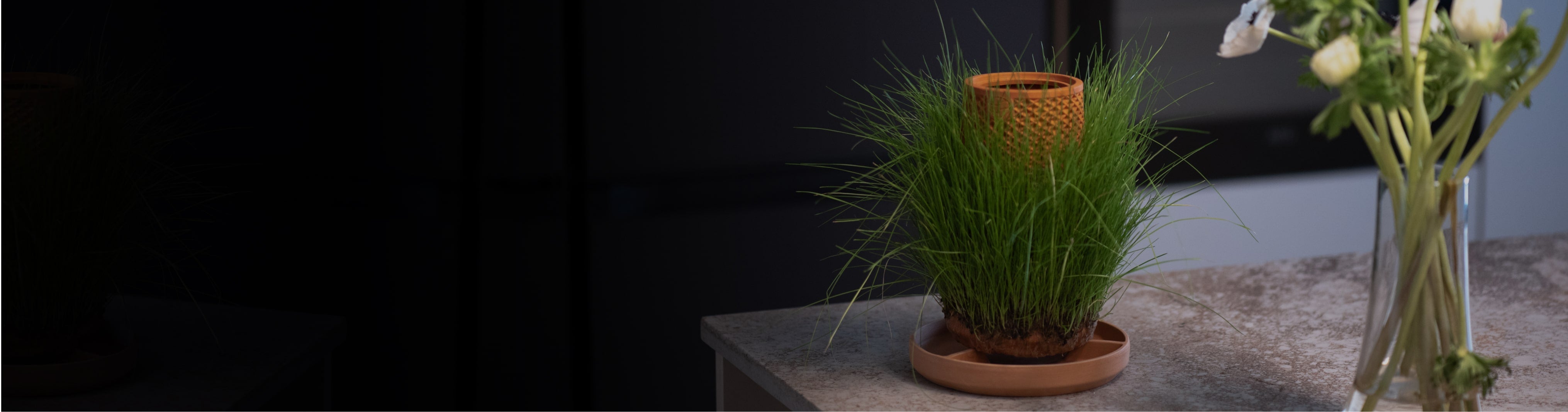 tevaplanter - visibly follow the journey from seed to plant