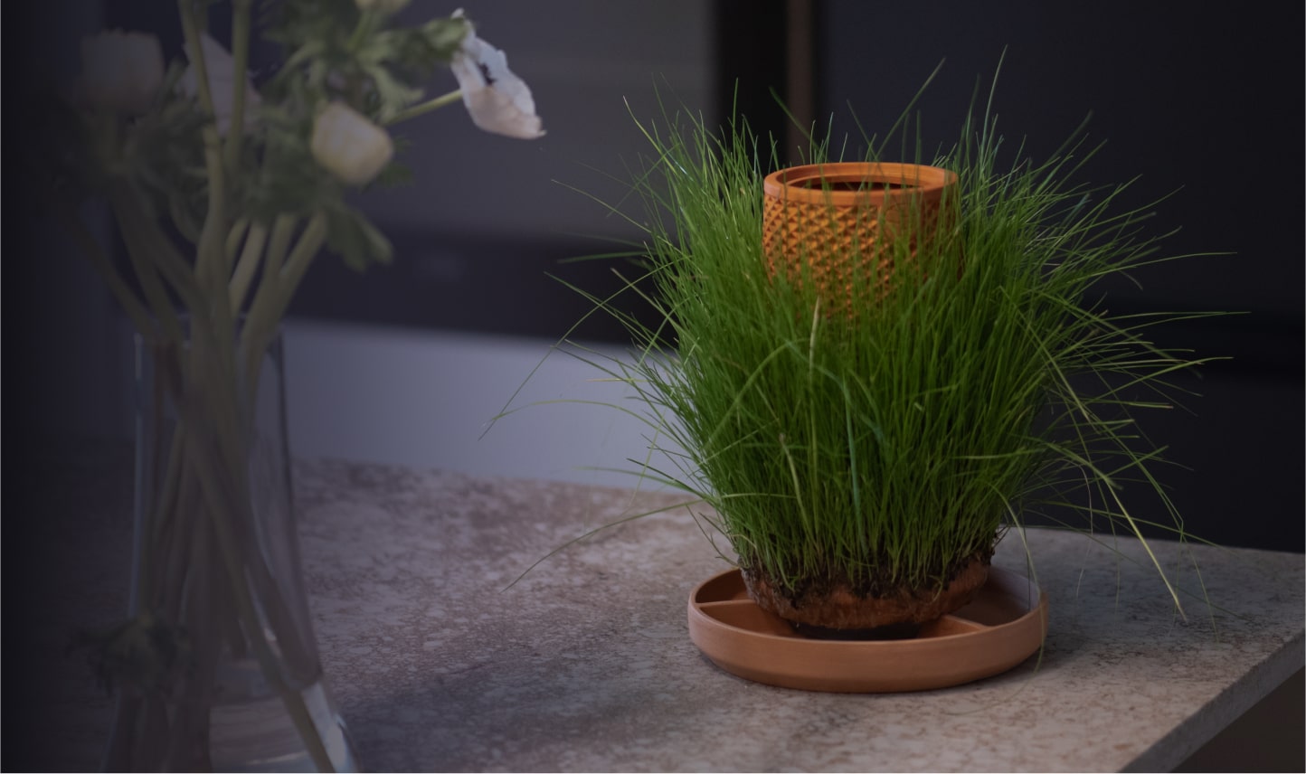 tevaplanter - visibly follow the journey from seed to plant