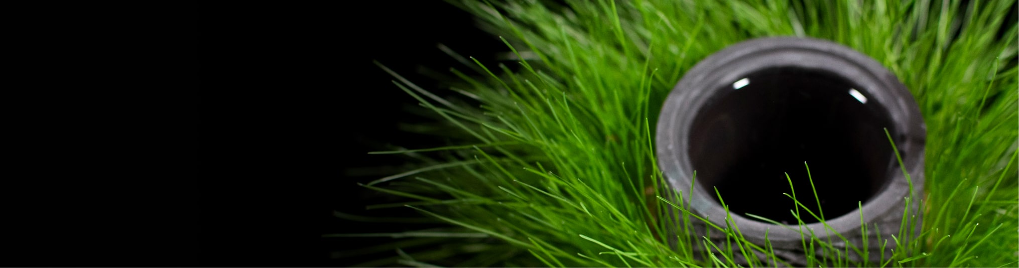 tevaplanter - visibly follow the journey from seed to plant