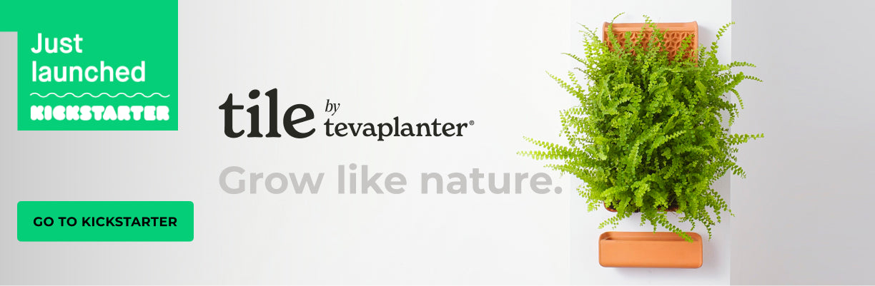 tevaplanter - visibly follow the journey from seed to plant
