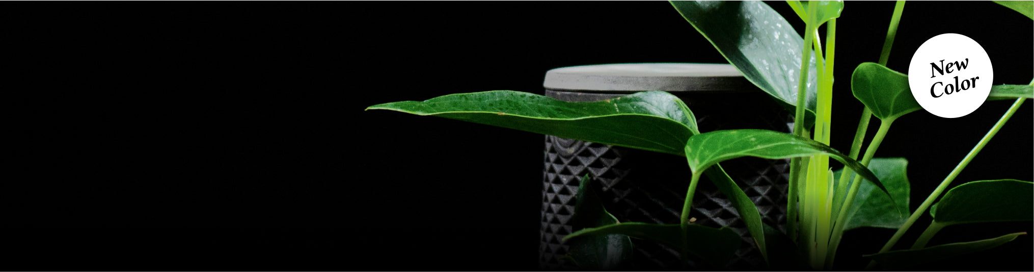 tevaplanter - visibly follow the journey from seed to plant