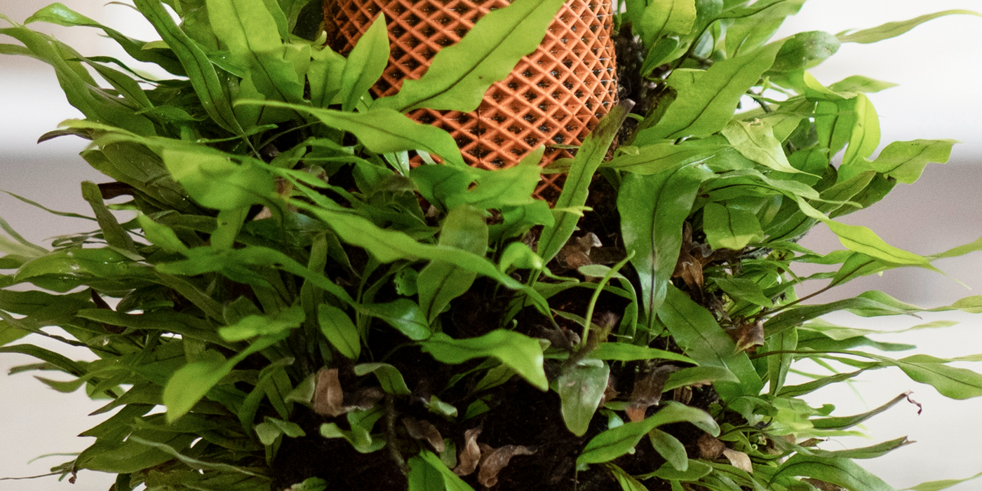 tevaplanter - visibly follow the journey from seed to plant