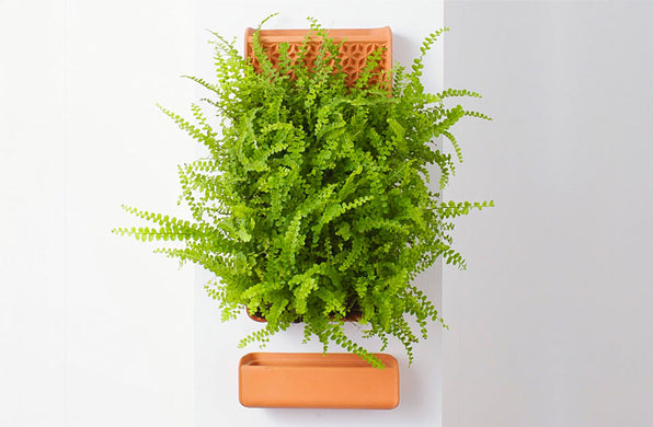 Products – tevaplanter