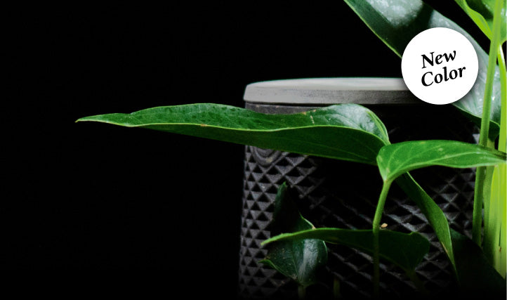 tevaplanter - visibly follow the journey from seed to plant