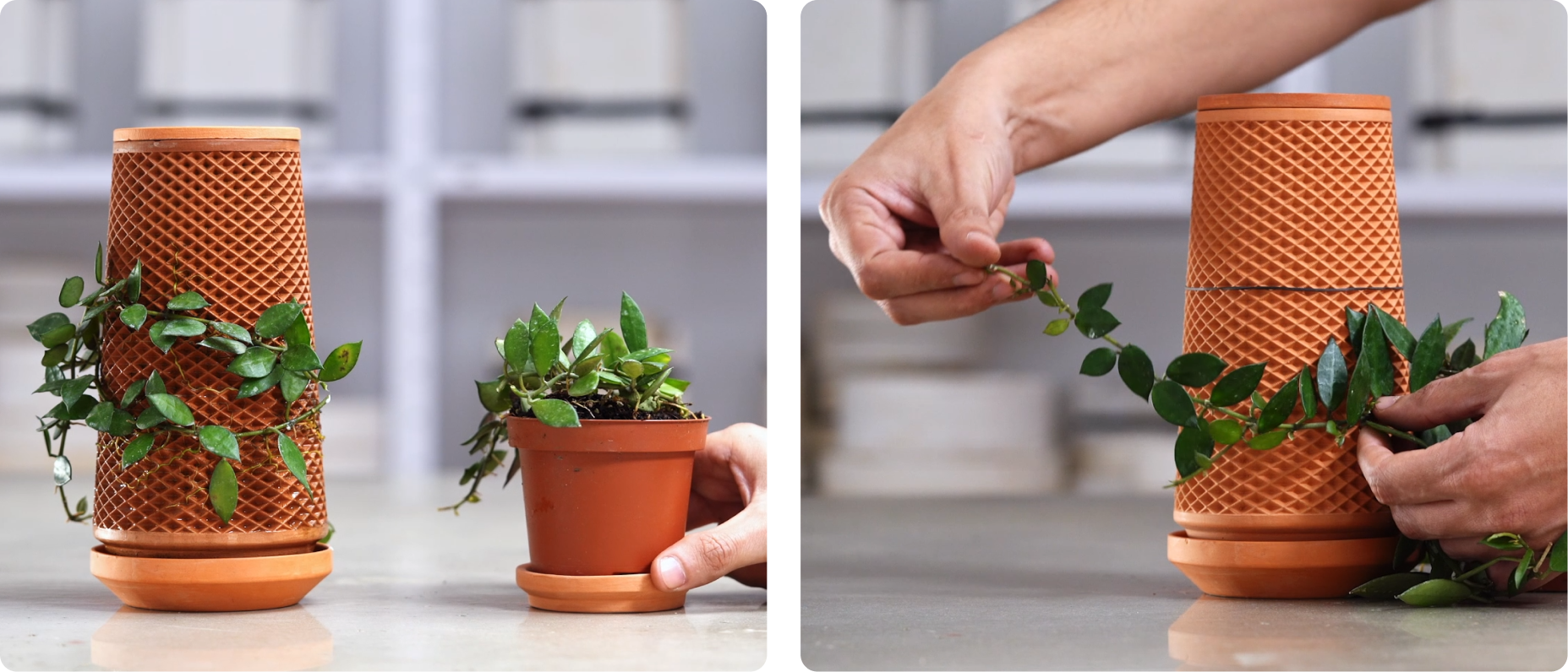 tevaplanter - visibly follow the journey from seed to plant