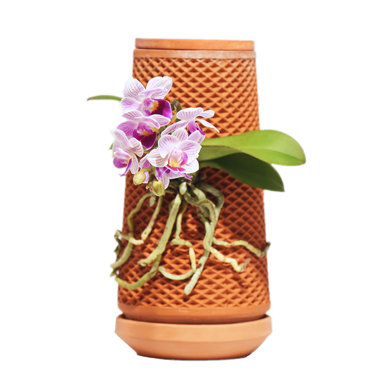 tevaplanter - visibly follow the journey from seed to plant