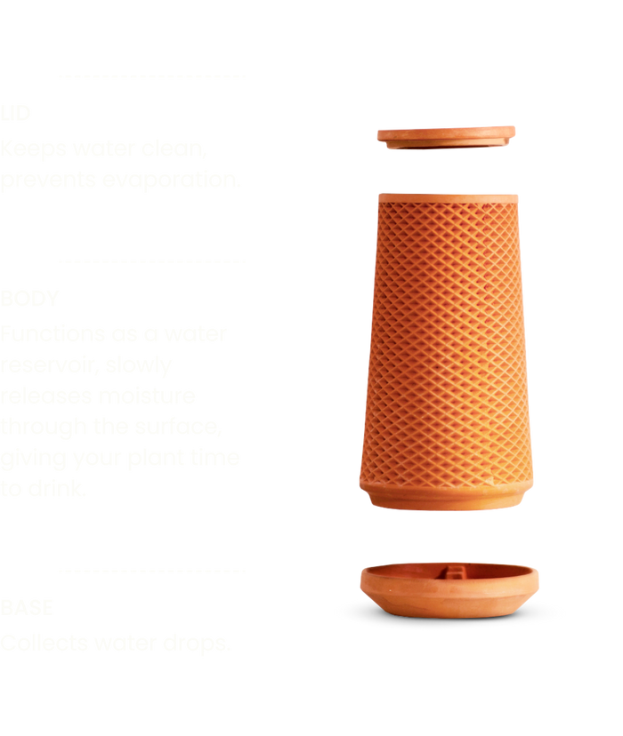 tevaplanter - visibly follow the journey from seed to plant