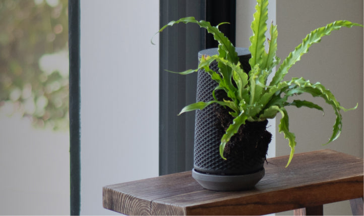 tevaplanter - visibly follow the journey from seed to plant