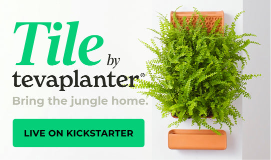 tevaplanter - visibly follow the journey from seed to plant